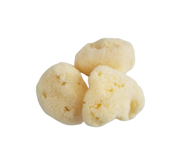 Cosmetici BIO al Fico d'India e Licopene | Cosmetici Naturali Dolcepura
